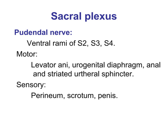 Lumbosacral plexus by dr swapan (1) | PPT