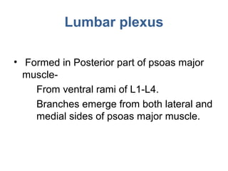 Lumbosacral plexus by dr swapan (1) | PPT