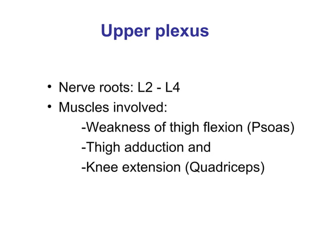 Lumbosacral plexus by dr swapan (1) | PPT