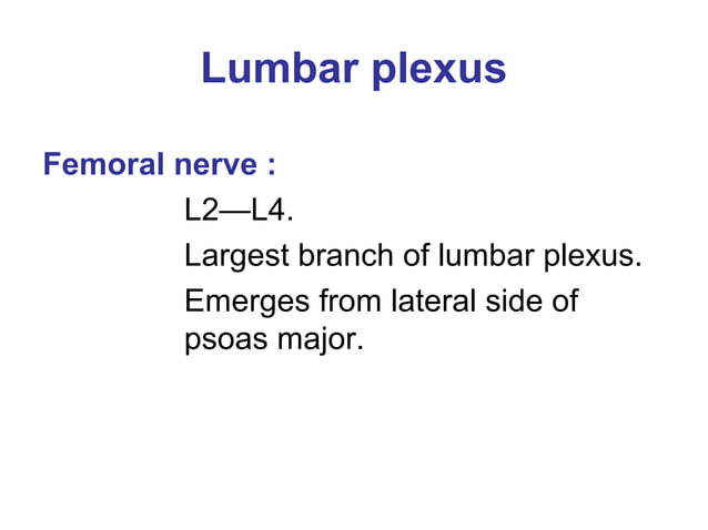 Lumbosacral plexus by dr swapan (1) | PPT