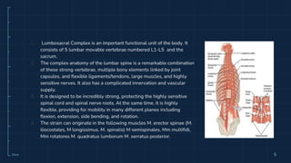 Physiotherapist POV : LumboSacral Strain | PPTX