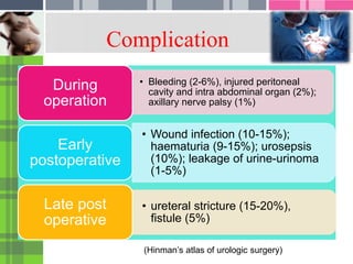 OPTEK Lumbotomy proximal ureterolithotomy | PPTX | Death, Injury, or ...