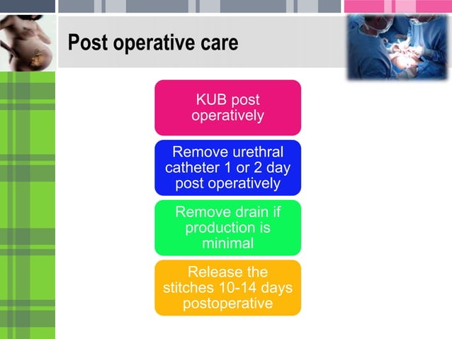 OPTEK Lumbotomy proximal ureterolithotomy | PPTX | Death, Injury, or ...
