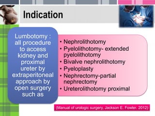 OPTEK Lumbotomy proximal ureterolithotomy | PPTX | Death, Injury, or ...