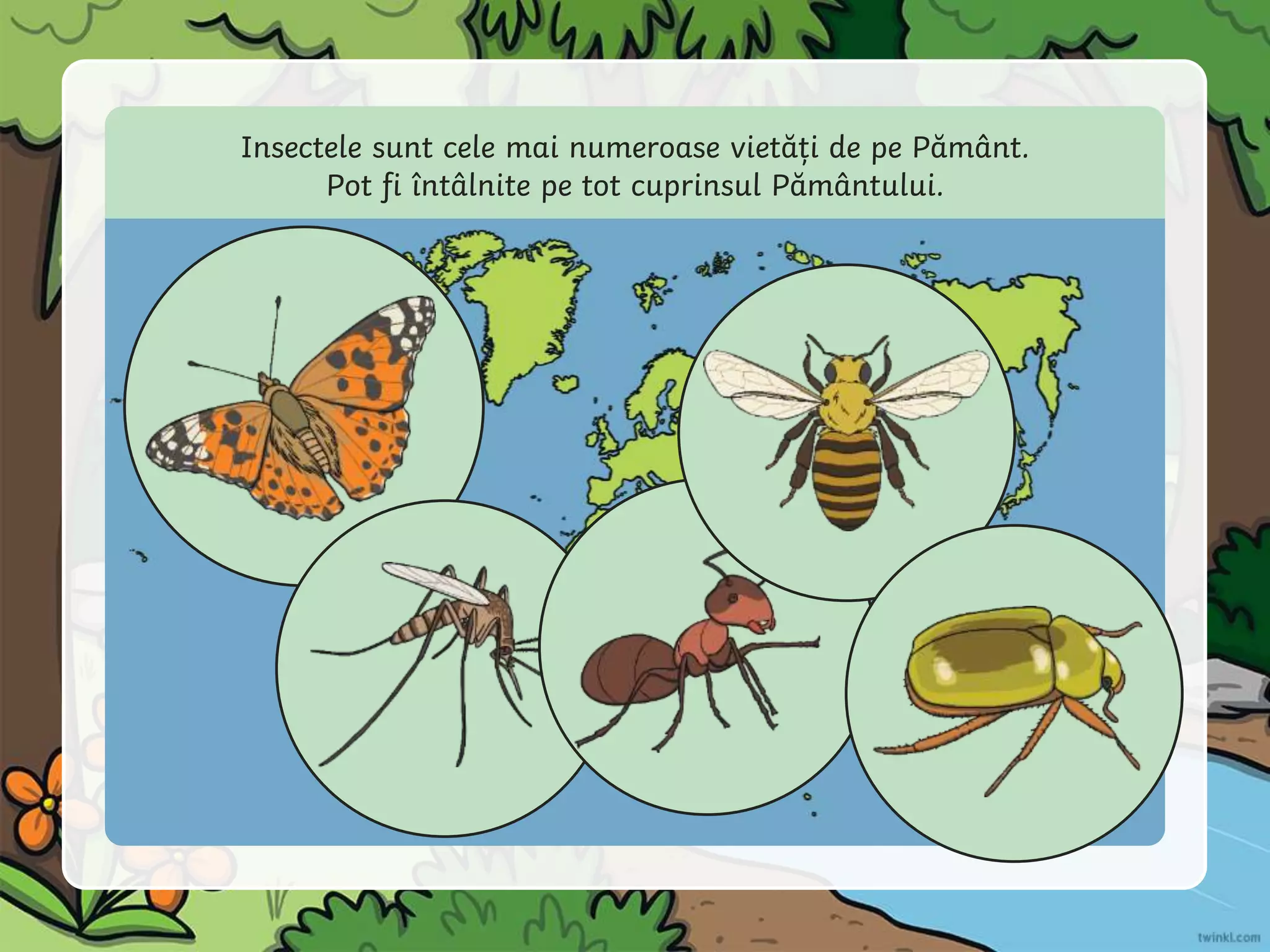 Lumea insectelor - Prezentare Power Point.ppt