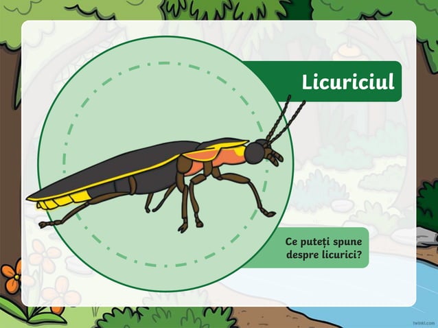 Lumea insectelor - Prezentare Power Point.ppt