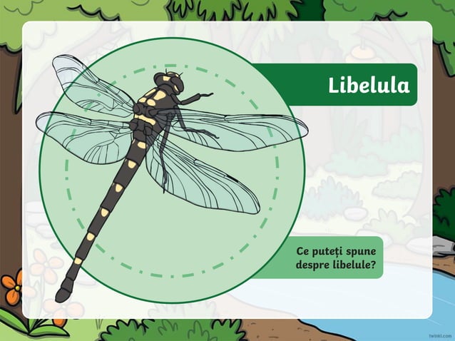 Lumea insectelor - Prezentare Power Point.ppt