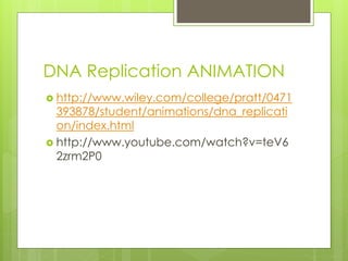DNA replication | PPT