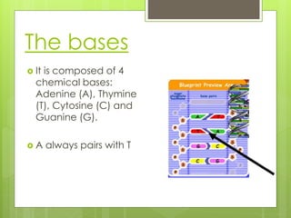 DNA replication | PPTX