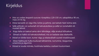 Lumeleopard | PPTX
