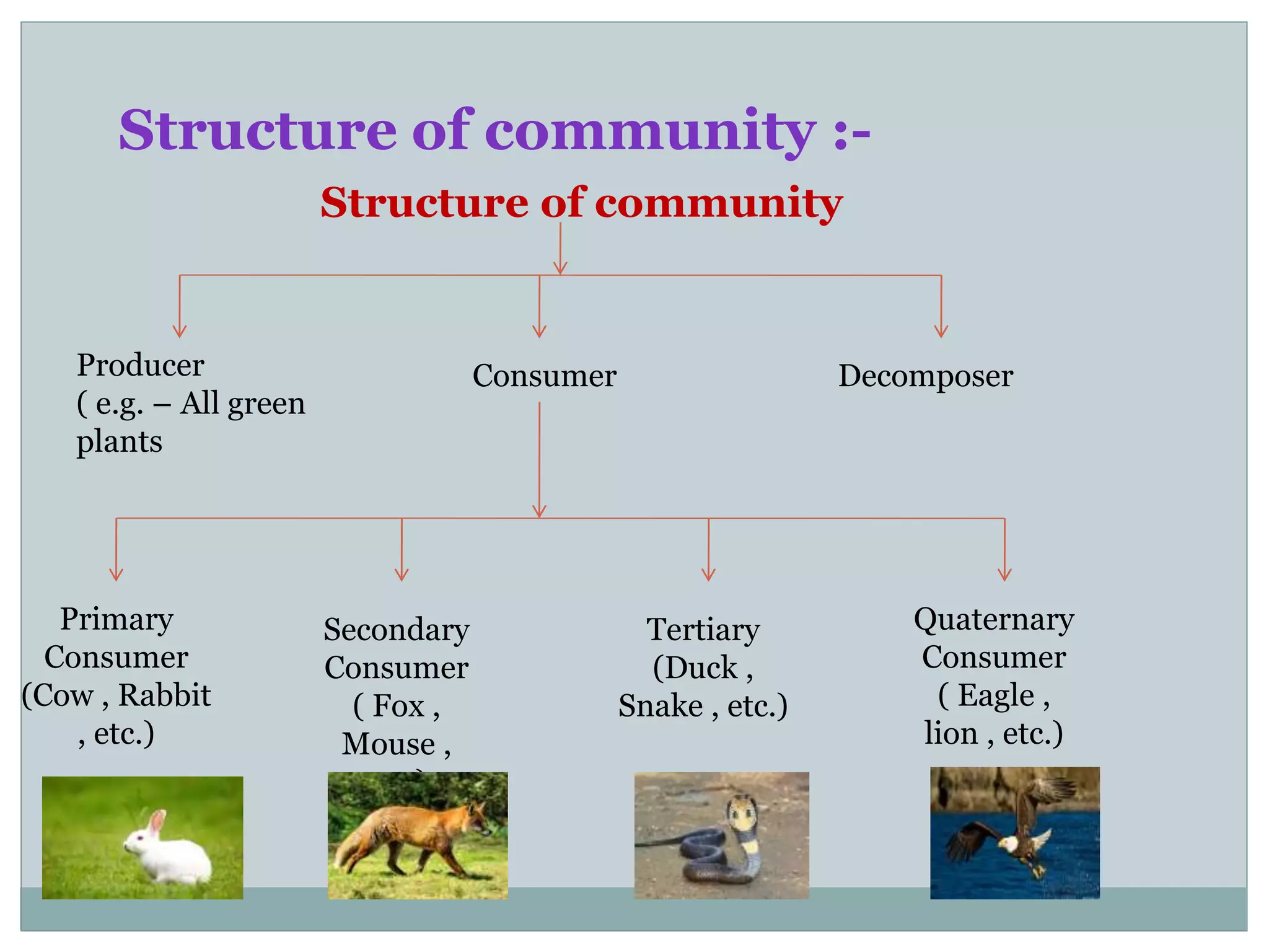 Analysis of community | PPTX