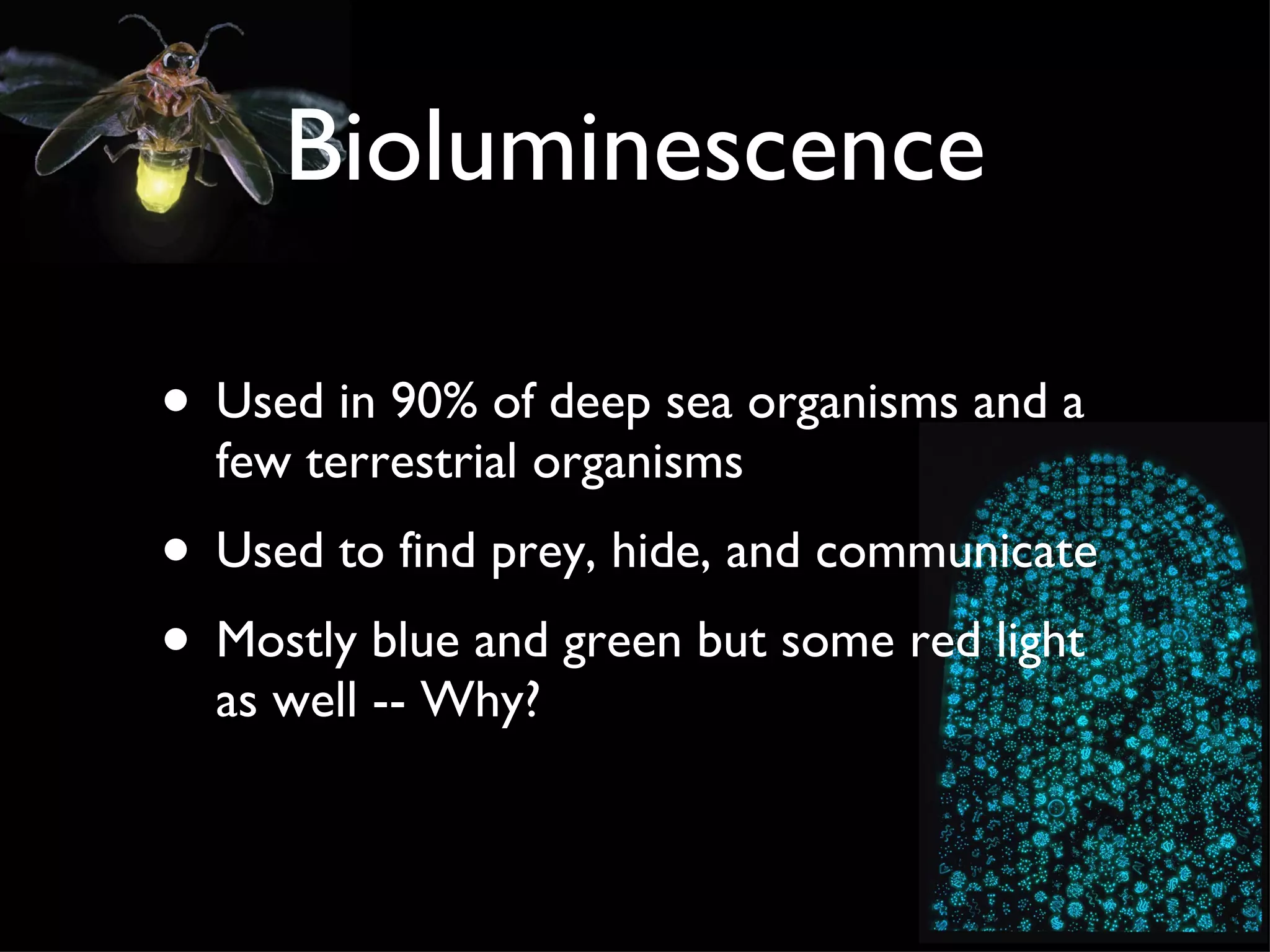 Luminescence presentation | PPT