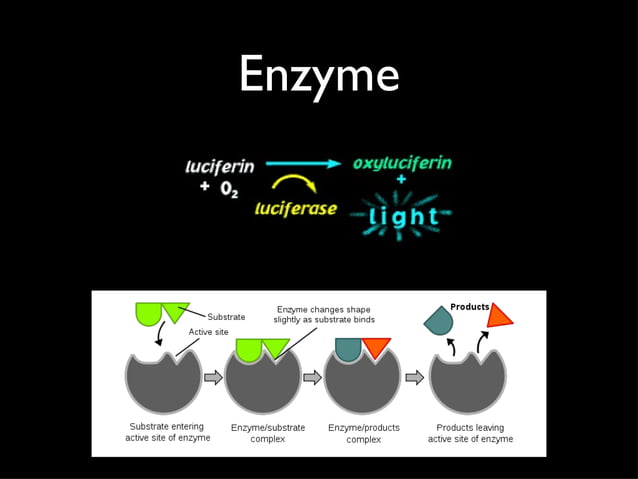 Luminescence presentation | PPT