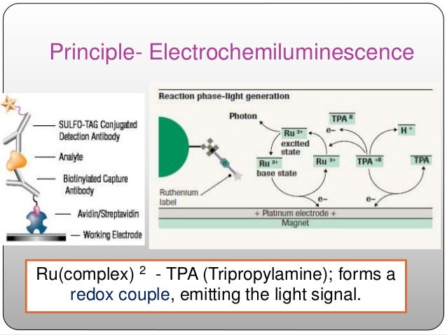 electrochemiluminescence