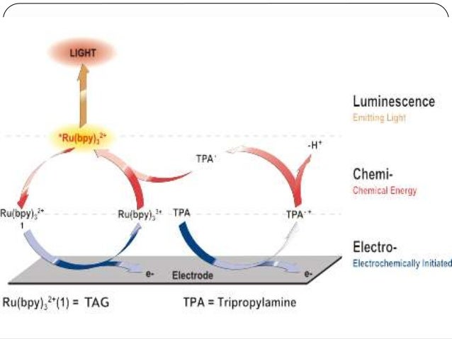 electrochemiluminescence