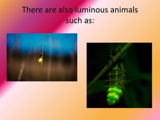 Luminous and Nonluminous Materials | PPTX