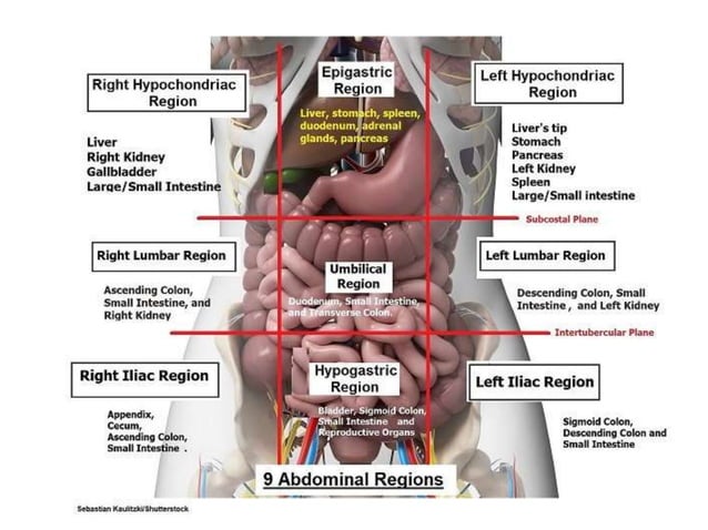 Lump abdomen | PPTX