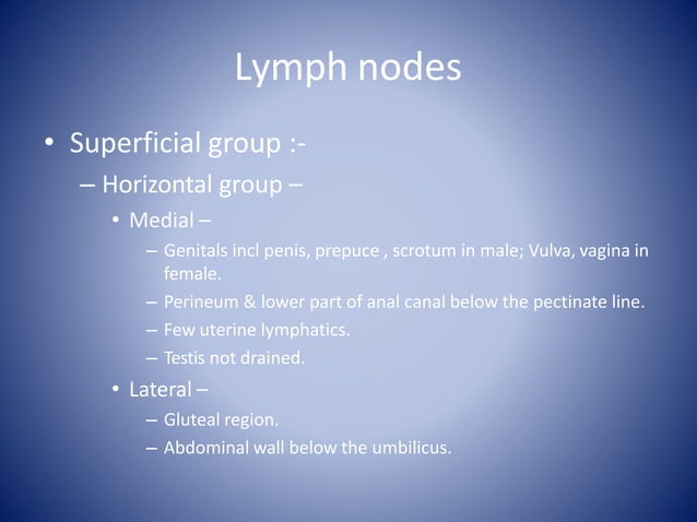 Lymphatics of lower limb | PPTX