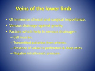Lymphatics of lower limb | PPTX