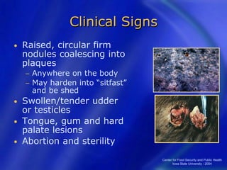 Lumpy skin disease | PDF