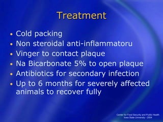 Lumpy skin disease | PDF