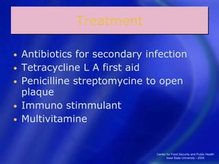 Lumpy skin disease | PDF