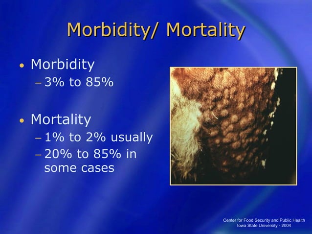 Lumpy skin disease | PDF