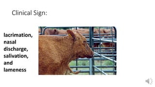 Lumpy skin disease by Dr. Mushhood Qazi | PPT