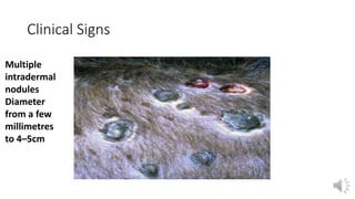 Lumpy skin disease by Dr. Mushhood Qazi | PPT