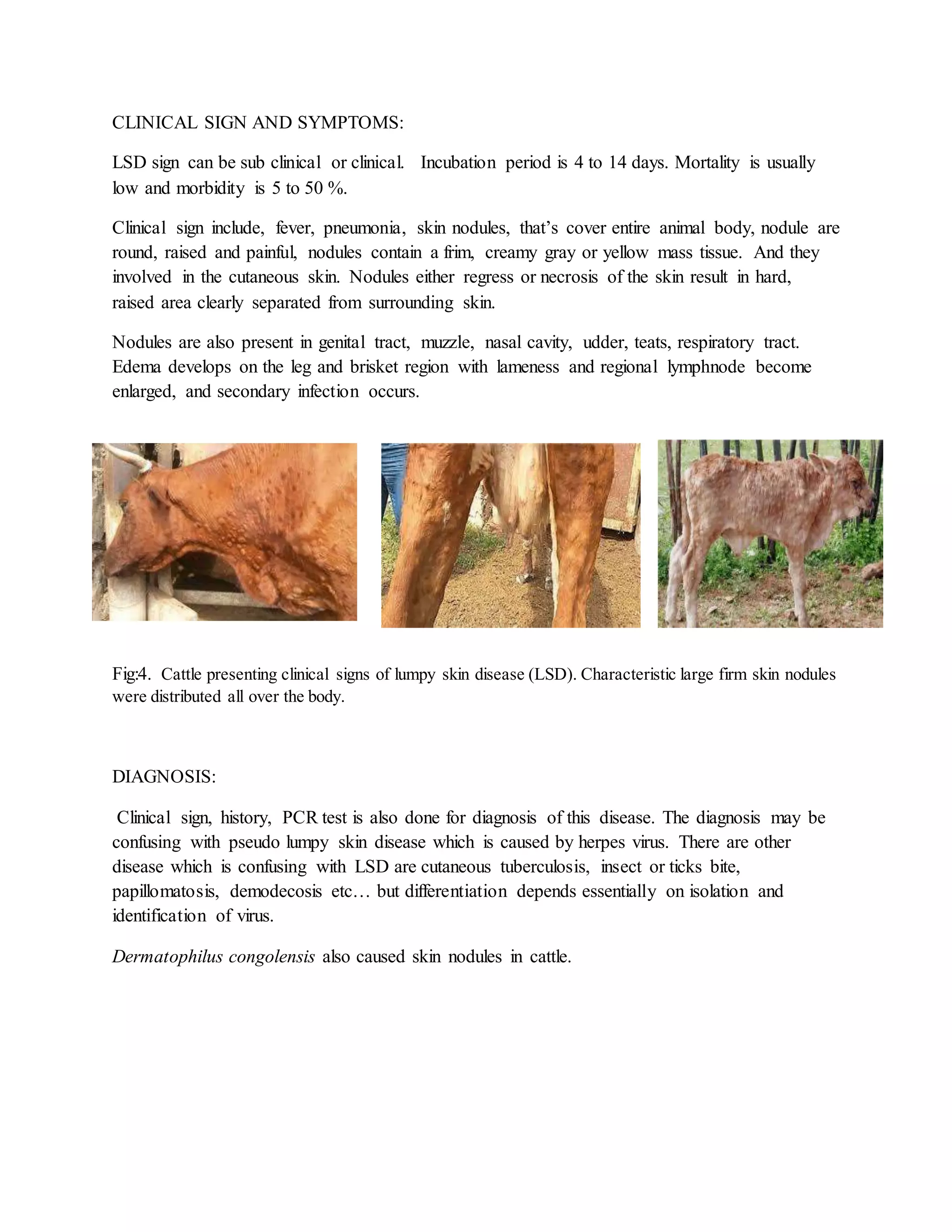 Lumpy skindisease | DOCX