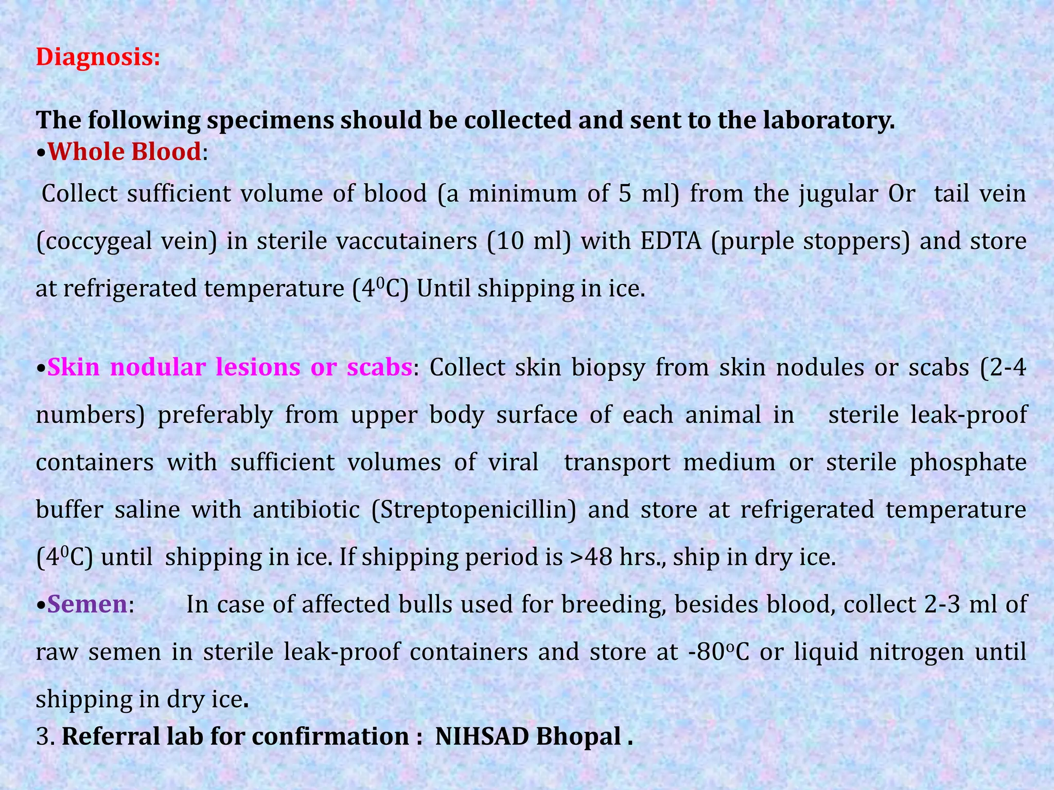 Lumpy skin disease | PPTX