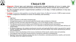 Lumpy skin disease (LSD) Globally and in India.pptx