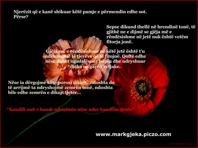 Lumturia By M.Gj. | PPS