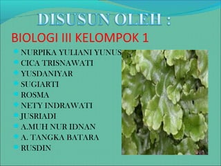 Lumut hati-hepaticopsida | PPT