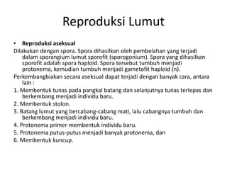 Lumut bryophyta | PPTX