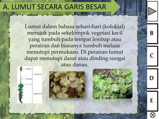 BIOLOGI - Lumut by XGSc IIHS [Marini C., Nadya A., Disty S.A.Y., Nabila ...