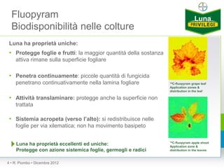 Luna privilege forum-bari | PDF