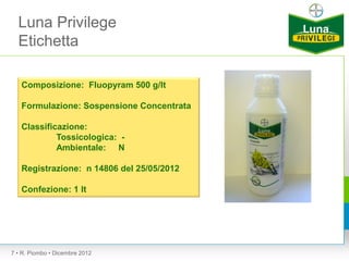 Luna privilege forum-bari | PDF