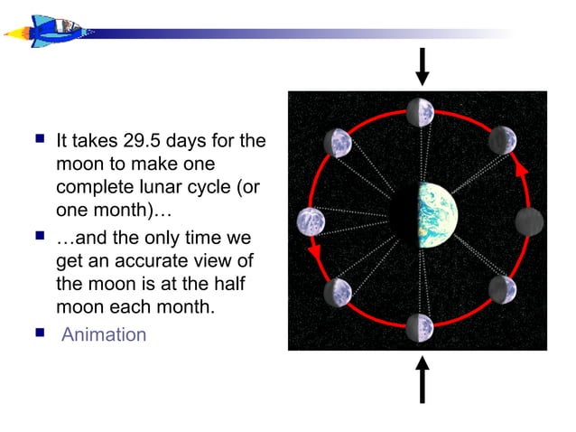 Lunar cycle and tides | PPT | Science