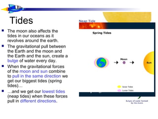 Lunar cycle and tides | PPT | Science