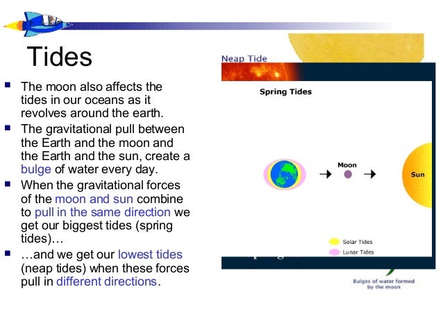 Moon Phases And Tides Diagram