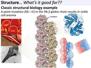 Data Science Meets Structural Biology | PPTX