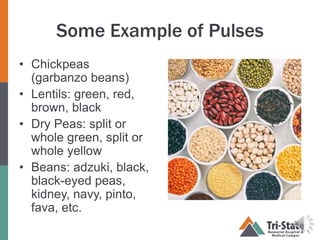 Lunch & Learn Presentation | PPT