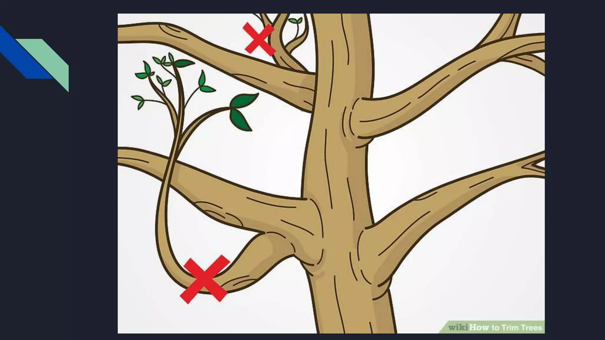 Use Design Principle to Improve code quality | PPTX