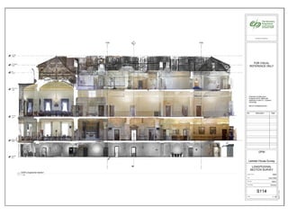 HBIM Leinster House, Laser Scan Survey Modelling and Conservation documentation, Anthony Corns ...