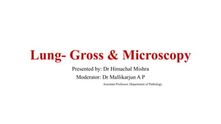 lung- Gross &Microscopy | PPTX