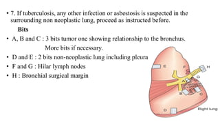 lung- Gross &Microscopy | PPTX