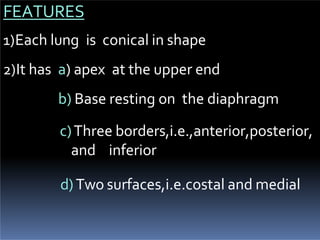 LUNG.pptxLUNG.pptxLUNG.pptxLUNG.pptxLUNG | PPTX