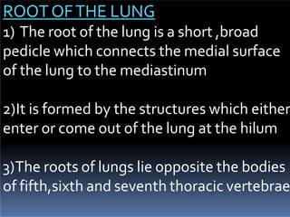 LUNG.pptxLUNG.pptxLUNG.pptxLUNG.pptxLUNG | PPTX