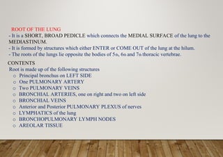 LUNG RESPIRATORY SYSTEM THORACIC CAVITY.ppt | Lung and Respiratory ...